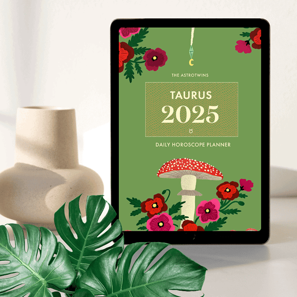 2025 Horoscope for Taurus by The AstroTwins