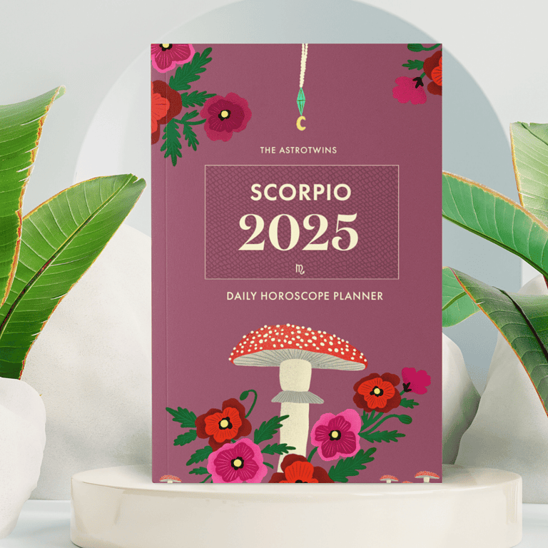 2025 Horoscope for Scorpio by The AstroTwins